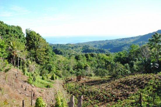 Discover Dominica's 7 Best Walks – Secret Bay