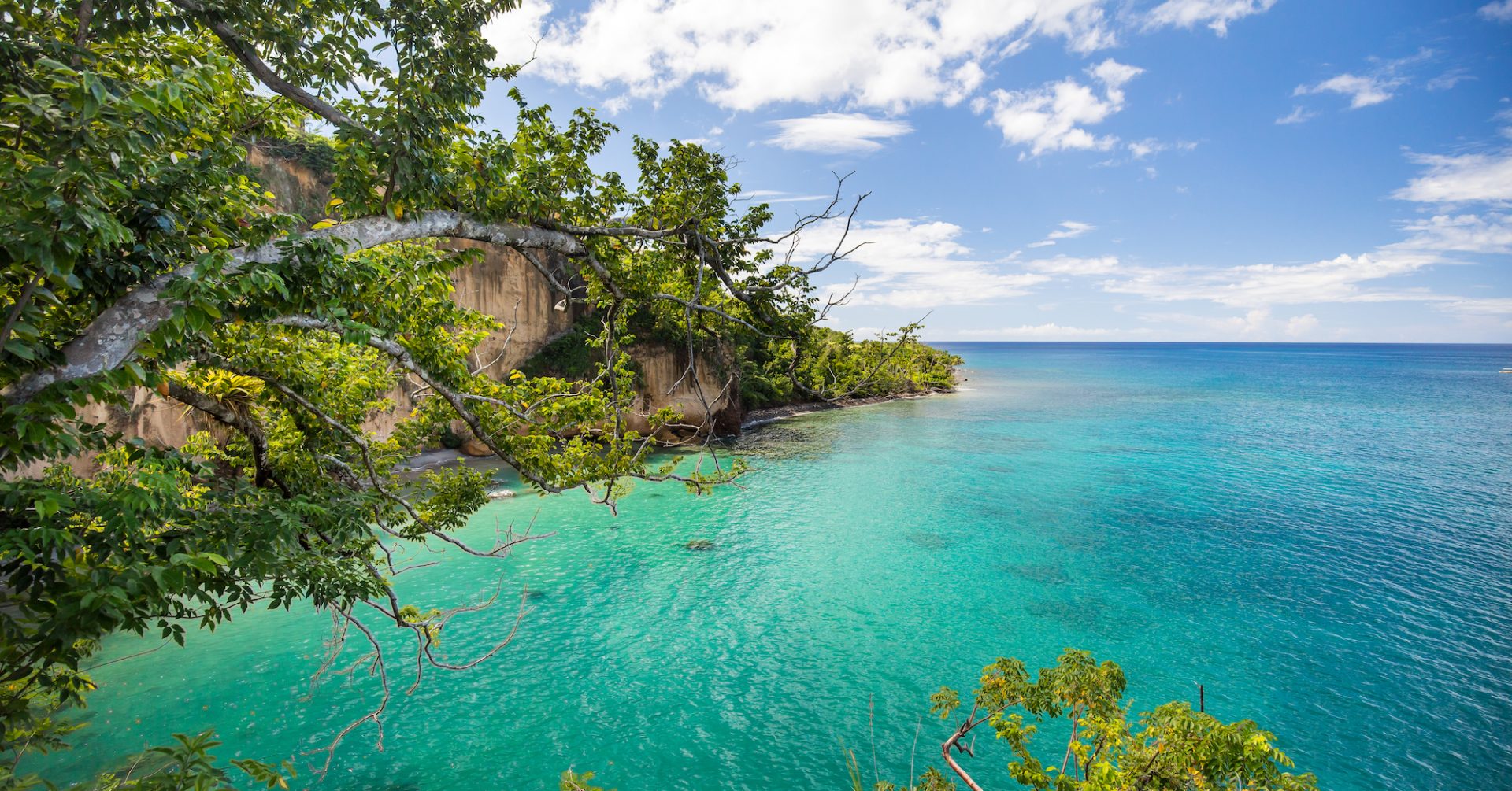 Thrillist Shares Best Things to Do When Visiting Dominica – Secret Bay