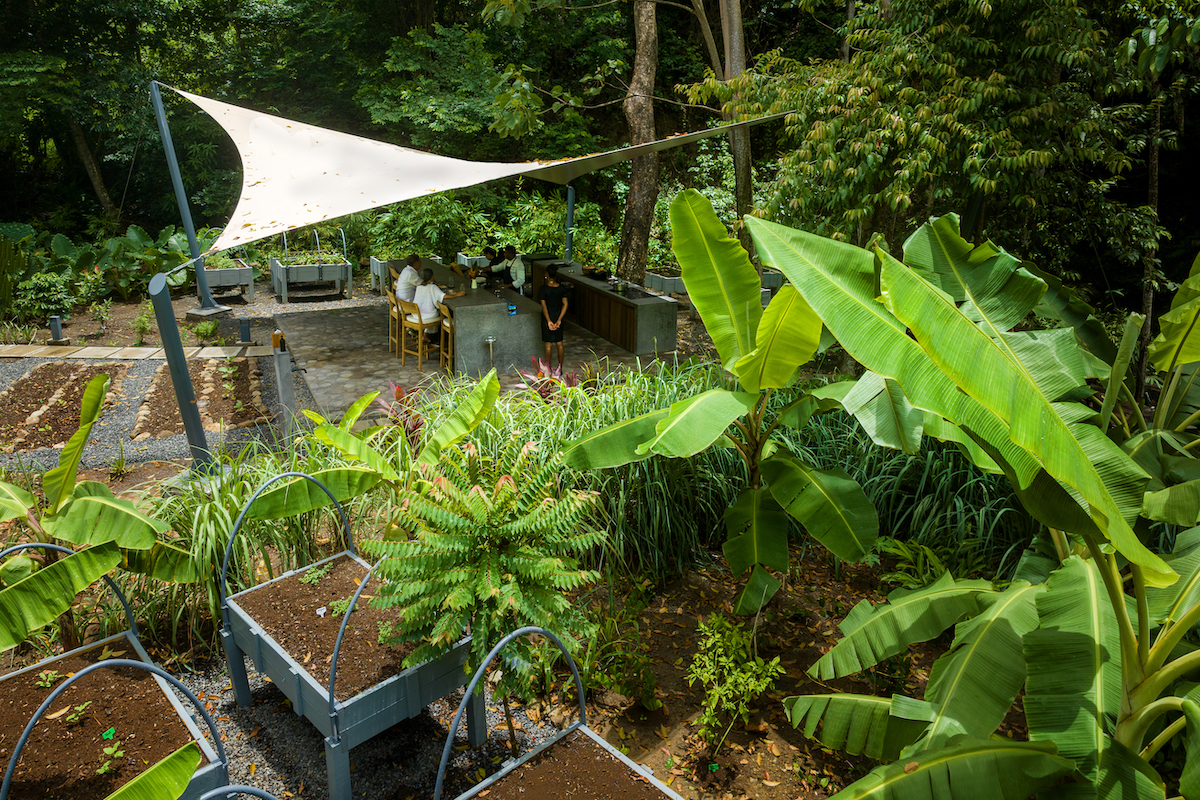 Farm-to-Table, Redefined: Introducing the New Botanica Organic Garden ...