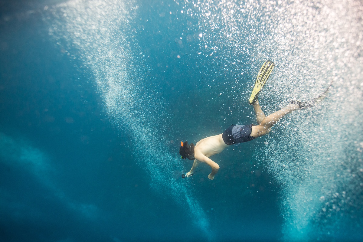 Night Snorkeling at Secret Bay: The Ultimate Caribbean Bucket List ...