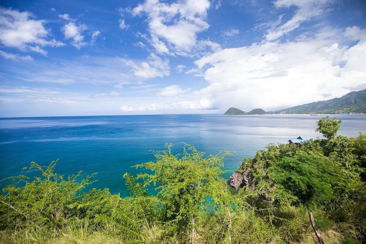 Earth Month at Secret Bay: How Luxury and Sustainability Coexist ...